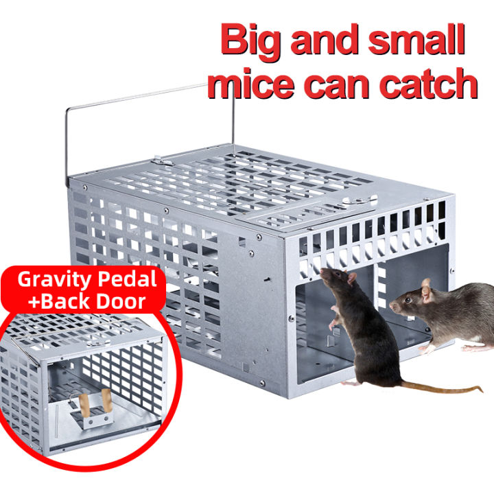 Mice Rodent Catcher Mousetrap cage Pest Reject Rat trap Cage | Daraz.lk