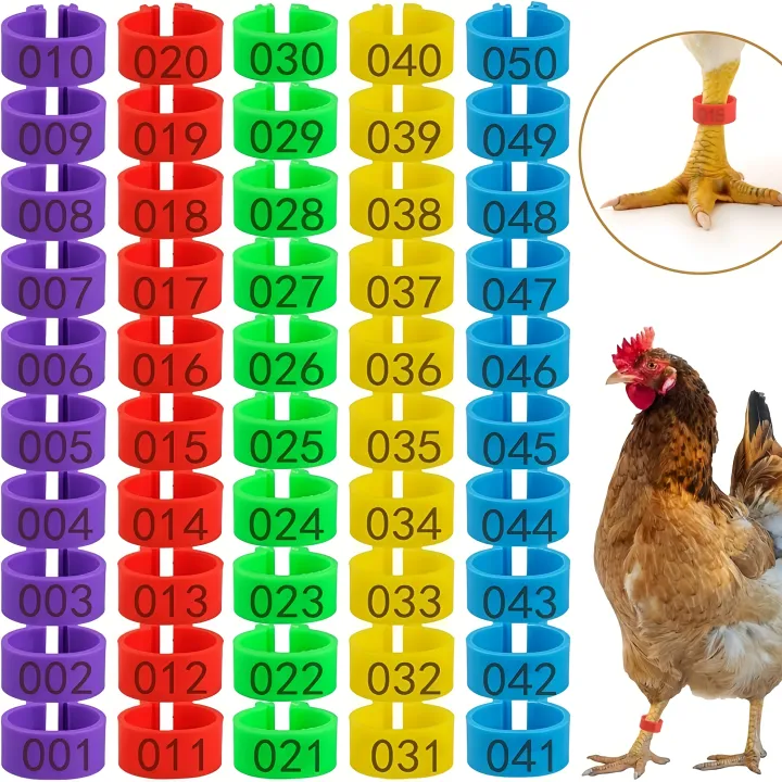 Farm Tag Rings, Chicken Leg Bands with Number Identification Hens ...