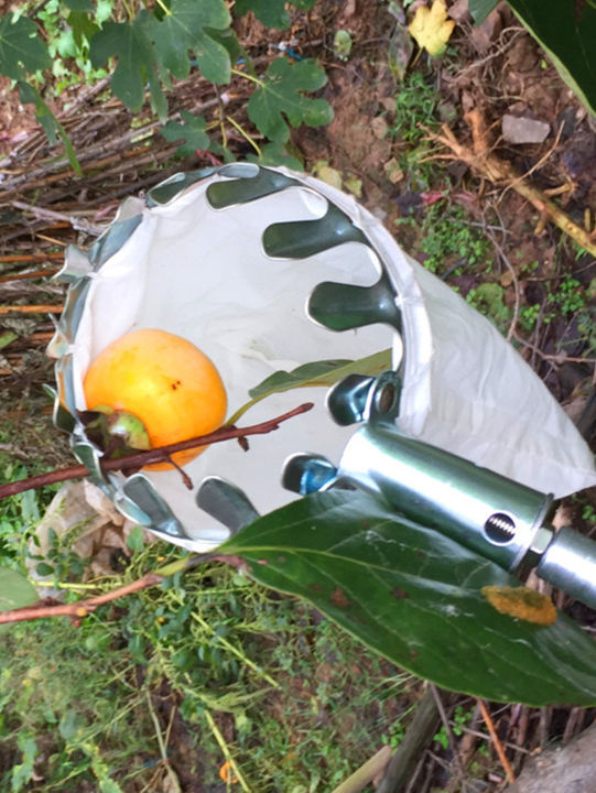 Telescopic Fruit Picker tools High Altitude Pole for Various Heights ...