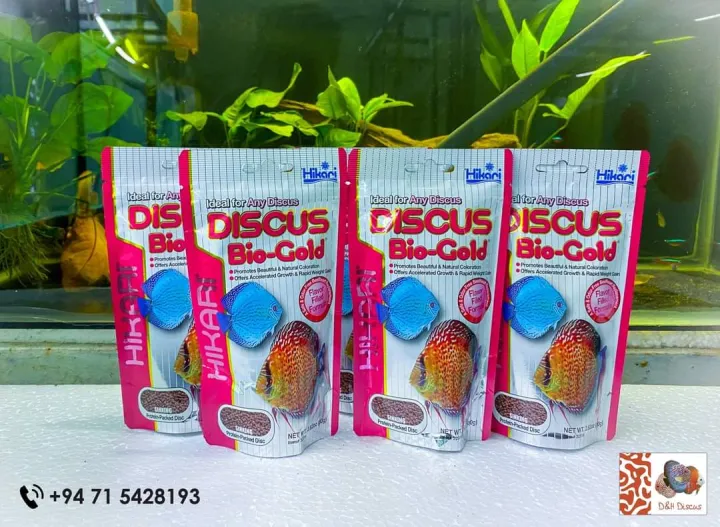 Hikari Discus bio gold | Daraz.lk