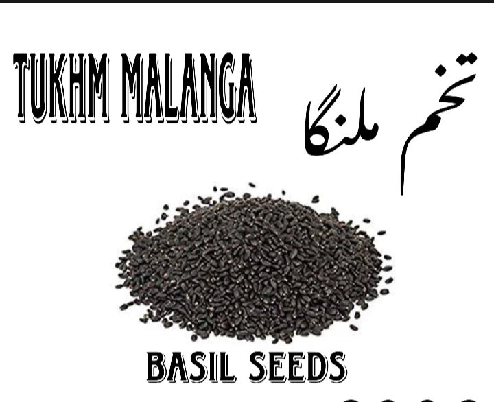 Tukh Malanga // Organic Basil seeds For weight Lose //Tukhmalanga ...