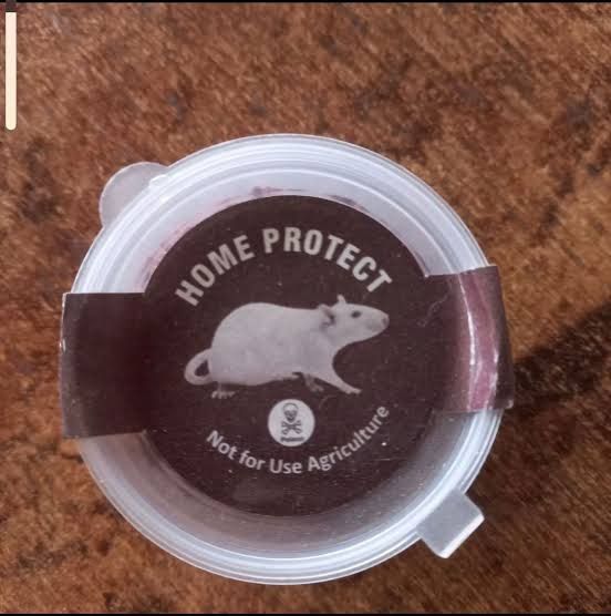 Rat Killer Chocolate Chip | Daraz.pk