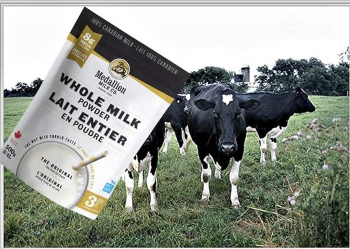 Buffalo Milk Powder 200 gram – Full Cream, High Calcium & Protein ...