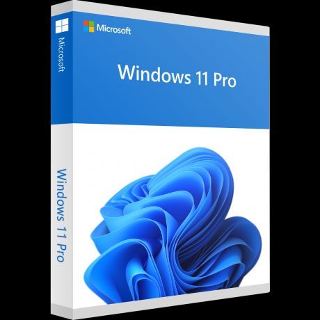 Windows 11 Pro OS license genuine Lifetime | Daraz.lk