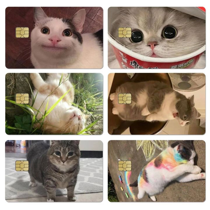 Funny Holographic Cat Meme No Fade Laser Reflective Front Skin Cover ...