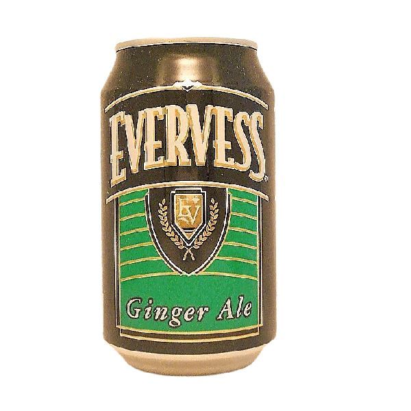 Evervess Ginger Ale 300ml (2 cans) | Daraz.pk