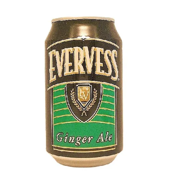 Evervess Ginger Ale 300ml (2 cans) | Daraz.pk