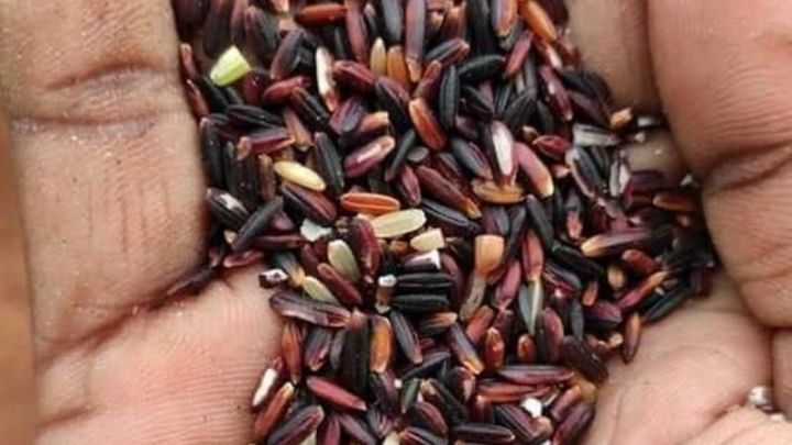 Dheki chata Black Rice Premimum | Daraz.com.bd