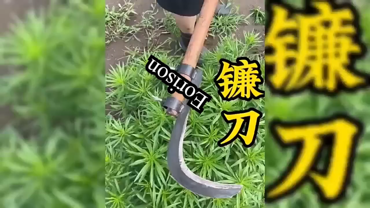 Metal Khurpa Tree Cutter Hasiya | Daraz.com.np