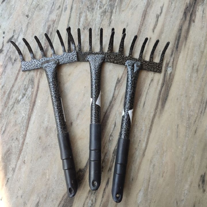 Garden Rake Small 6 Teeth With Handle -12 Inch Garden Rake (30 cm ...