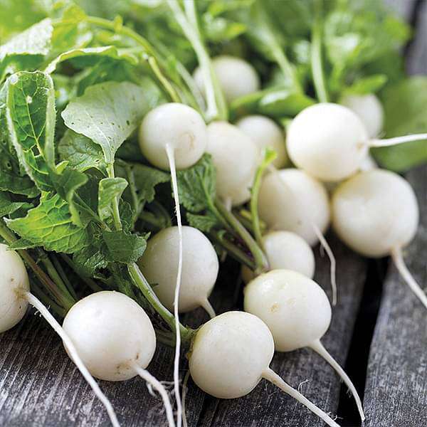 Round raddish Seeds (Japan ball) 2g | Daraz.lk