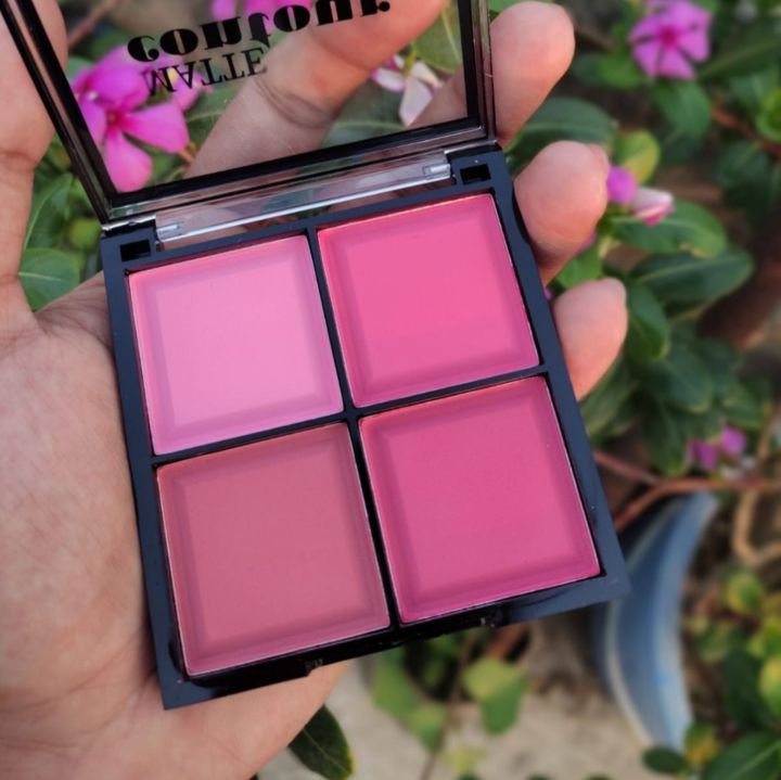 4 IN 1 Matte Contour Blush Pellet | Daraz.com.bd