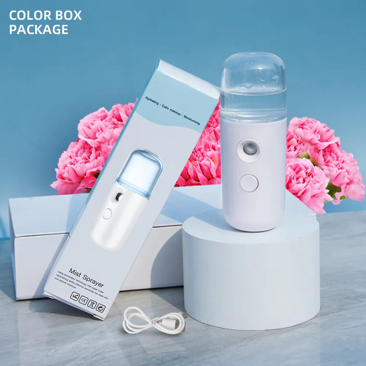Portable Rechargeable Small Facial Steamer 30ml Mini Humidifier Home ...