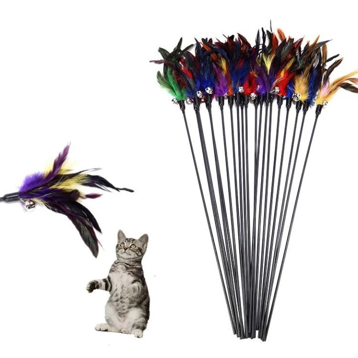 Cat Toy Teaser Sticks Feather Toy Interactive | Daraz.lk