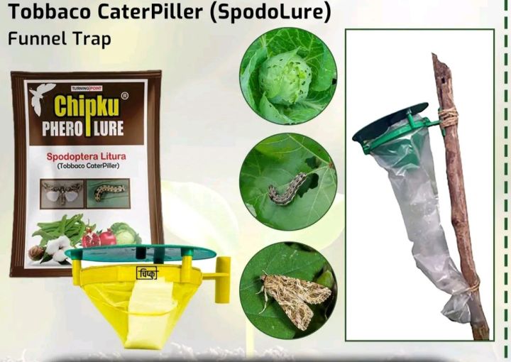 Pheromone Trap Funnel with Spodoptera Litura Lure for Catch Insect/Moth ...