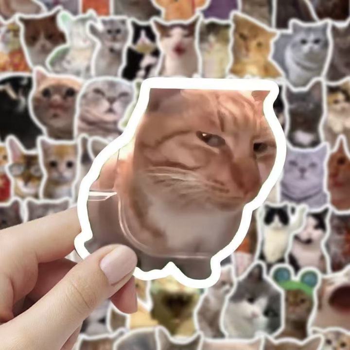 100pcs Funny Cute Cat MEME Animals Stickers Kawaii Decals Scrapbooking ...