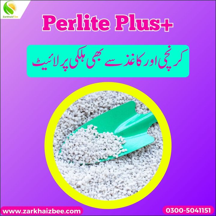 Perlite Plus+ 1 KG | 50 GM 100 GM 200 GM 500 GM | ZarkhaizBee: Neem ...