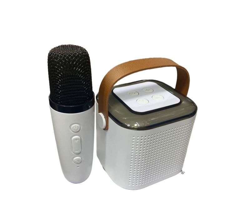 Portable Wireless Microphone And Speaker Np