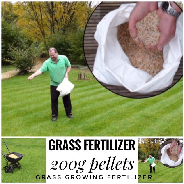 Grass fertilizer pellets 200g (Lawn fertilizer ) | Daraz.lk
