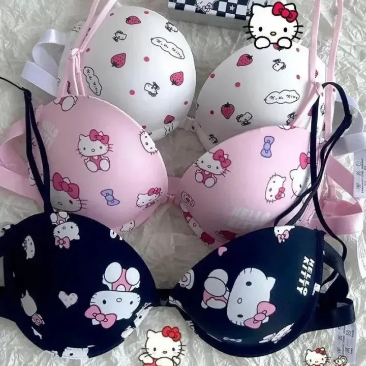 Hot Cute Sanrio Bra Set Hello Kitty Sweet Underwear Panties And Bra Set ...