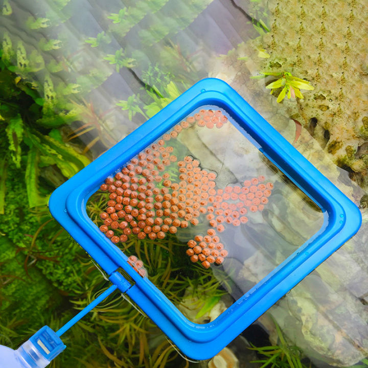 Floating Fish Food Feeder Ring - Square Circle Aquarium Station with ...