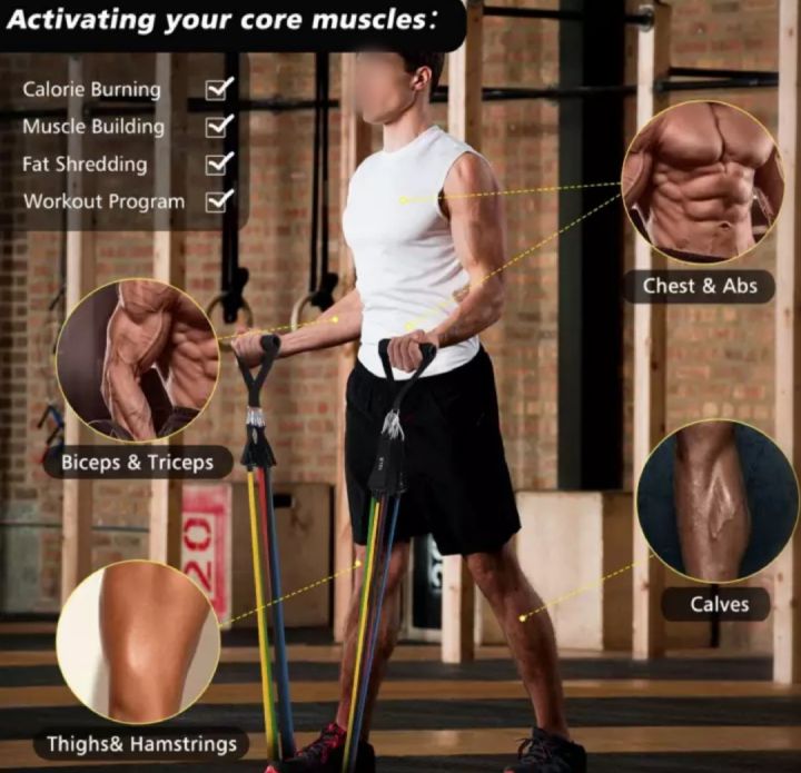 Power Resistance Bands for Workout for Women & Men (11pcs), Exercise ...