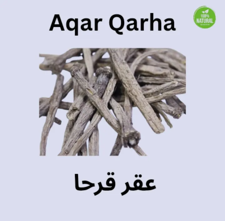 Aqar Qarha 20 Gram - Pellitory Roots - Akarkara Premium Quality Fresh ...