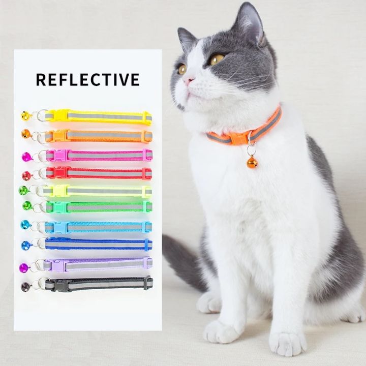 Cat Collar Strip with Bell | Daraz.lk