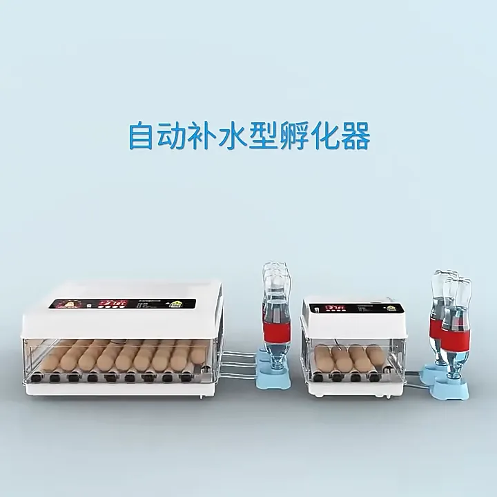 70 Eggs Incubator Intelligent Full Automatic Incubator Dual Supply AC ...