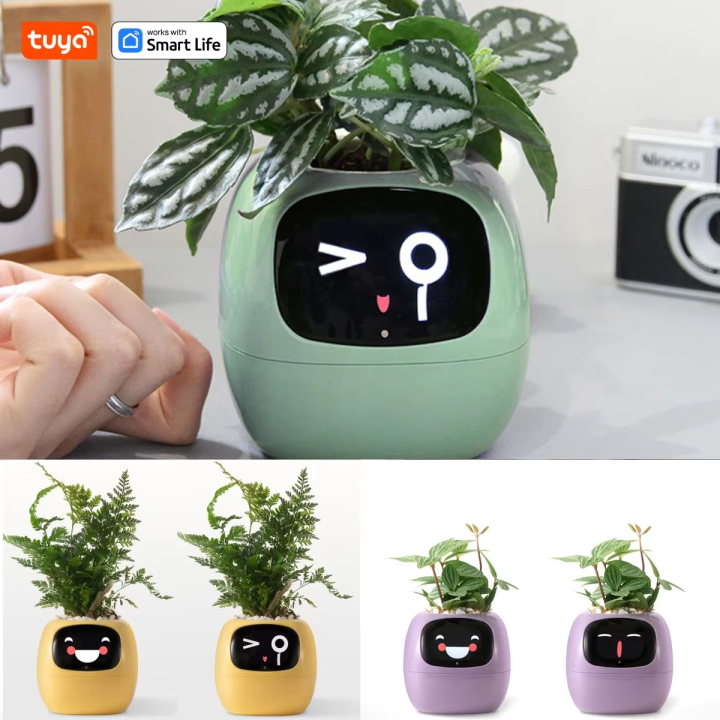 Multi Functional Cute Plant Robot IVY Rich Emojis Help You Fully ...