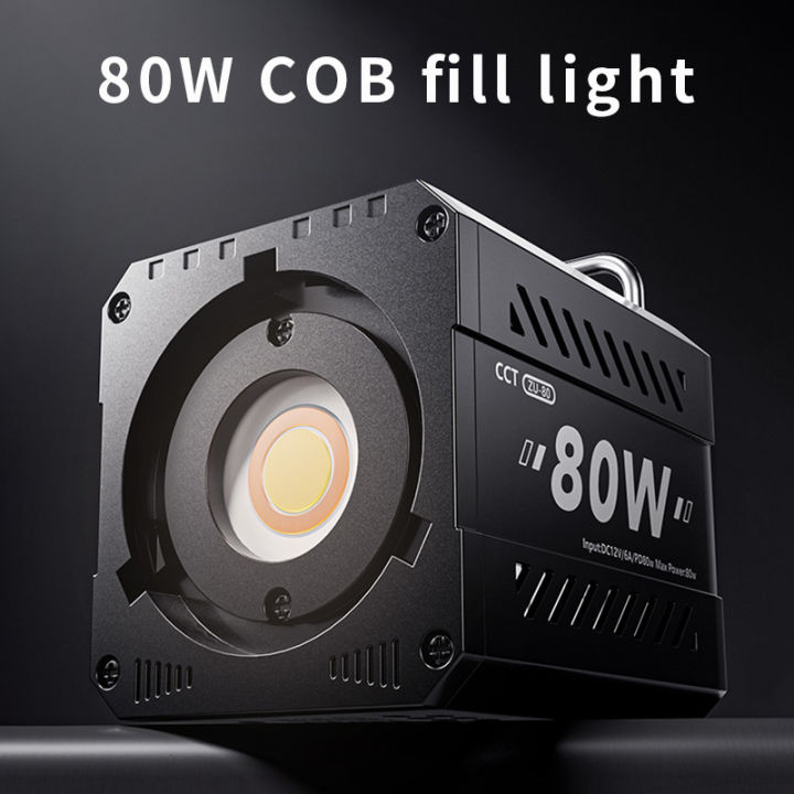 80W COB Photography Light Dual Color Temperature Handheld Fill Light ...