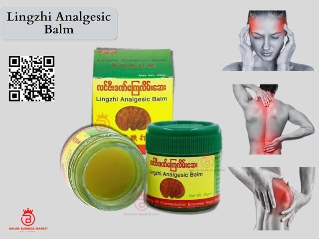 Lingzhi Analgesic Balm 1pcs | Daraz.com.bd
