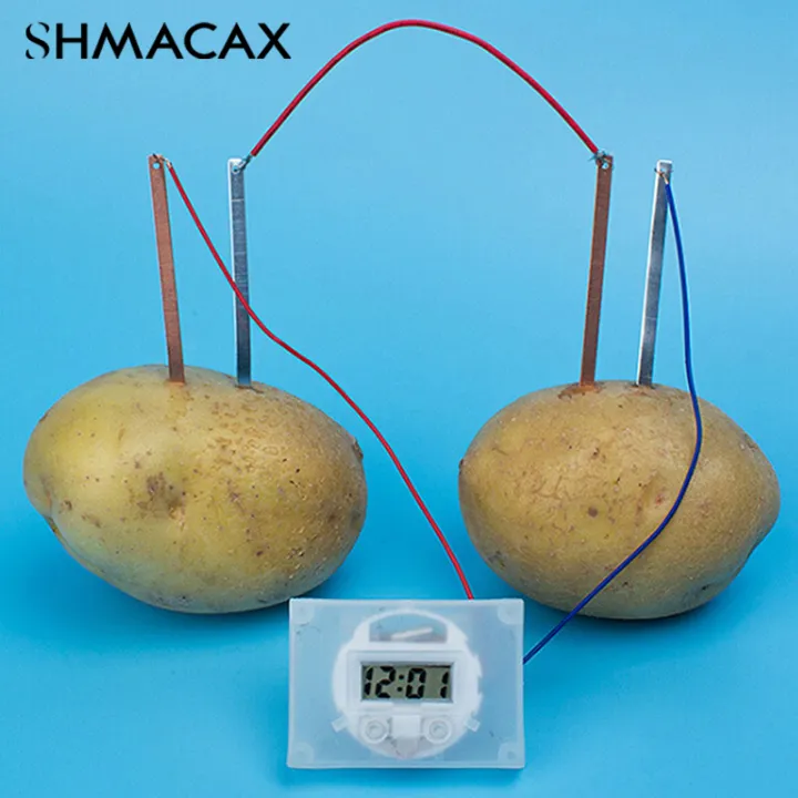 Children bio energy science kit fun potato supply electricity ...