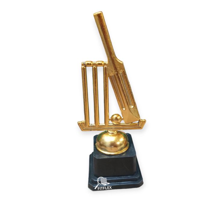 Cricket tournament trophy, Gold, 7inch mini trophy,- 1pcs | Daraz.com.bd