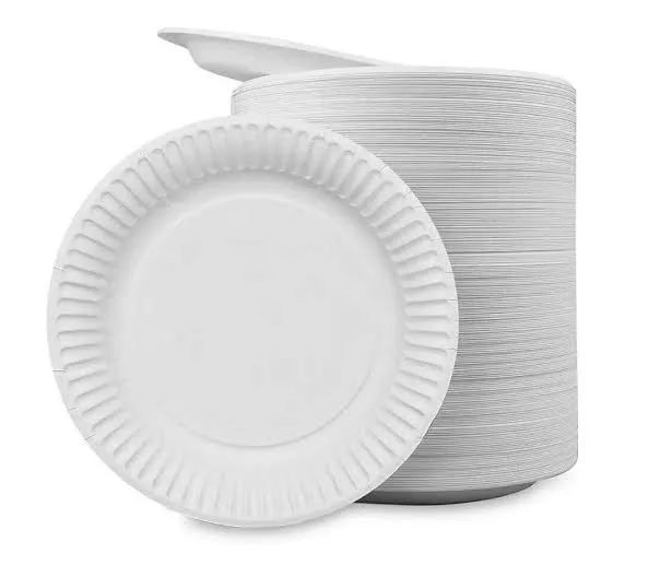One Time Plastic Plate 10pcs /25pcs/ 50pcs /100pcs Disposable Plastic ...