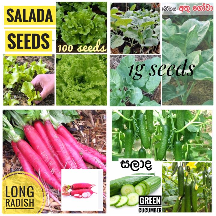 Vegetable varieties four packets | Daraz.lk