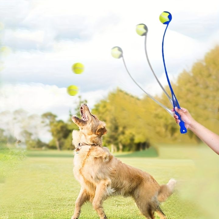 Pet Tennis Ball Launcher Stick - Interactive Outdoor Dog Training Toy ...