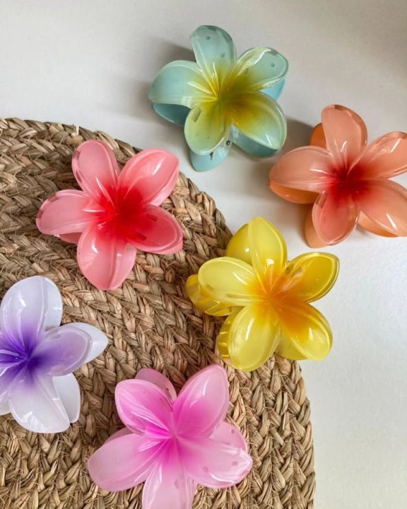 extra Medium size flower 🌸 claw clips | Daraz.pk