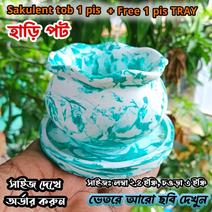 Hari gypsum tob / cement tob for cactus / sakulent / showpiece 1 pis ...