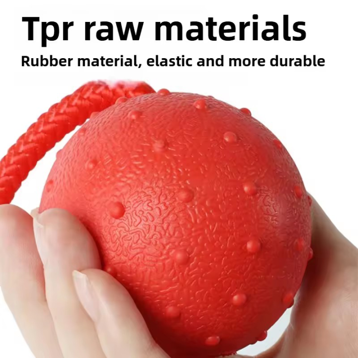 Dog Toys Indestructible Rubber Ball with Rope Solid Elasticity for ...