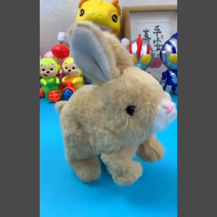 Electric Walking Rabbit Toy with Chu Chu Sound – Cute Bunny Pet Toy for ...