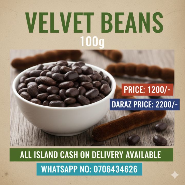 VELVET BEANS பூனைக்காலி விதை වඳුරු මෑ ඇට 100g | Daraz.lk