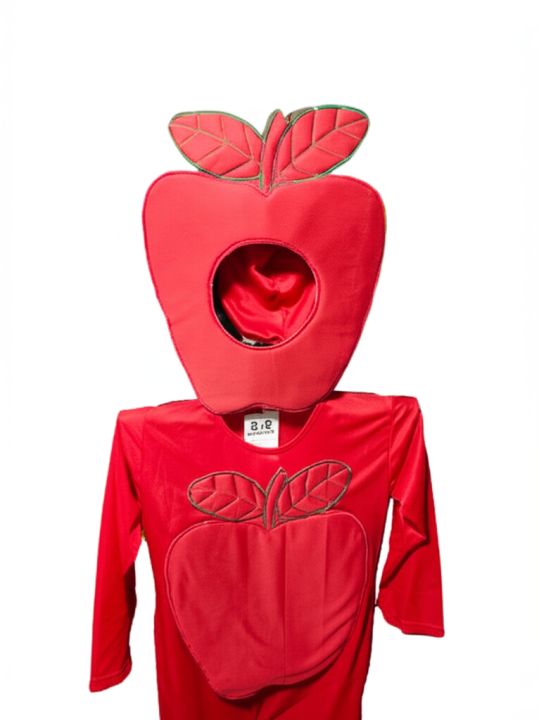 Red Apple Fancy Dress Costume for Kids – Soft Fabric with Leaf Design ...