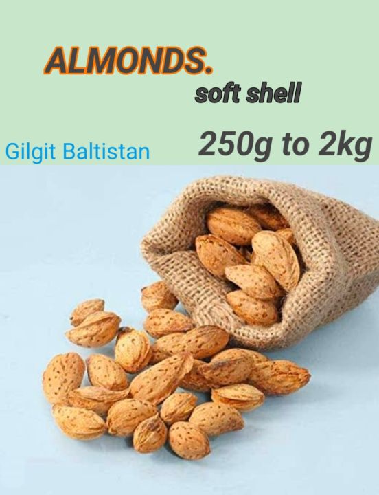 Kaghzi Almonds/Badam no.1(with soft shell) Gilgit Baltistan.premium ...