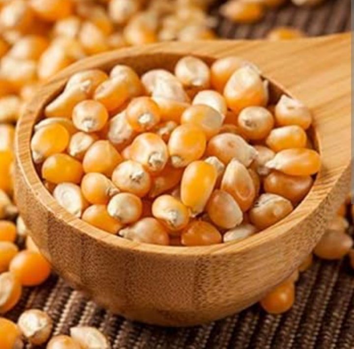 Corn | Makai | Corn for bird | Sabut Makai 500 grams | Homekeeping bird ...