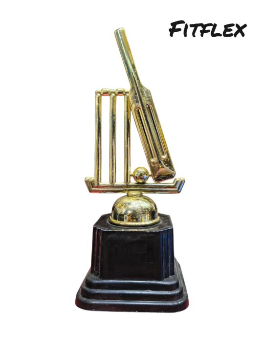 Cricket tournament trophy, Gold, 7inch mini trophy,- 1pcs | Daraz.com.bd
