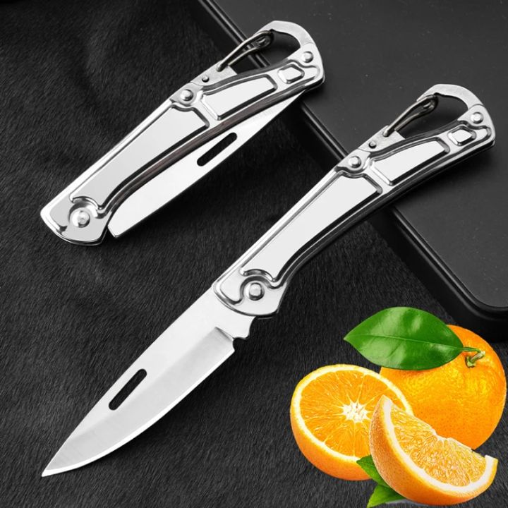 Stainless Steel Folding Knife Camping Knife Multi-function Pocket Small ...