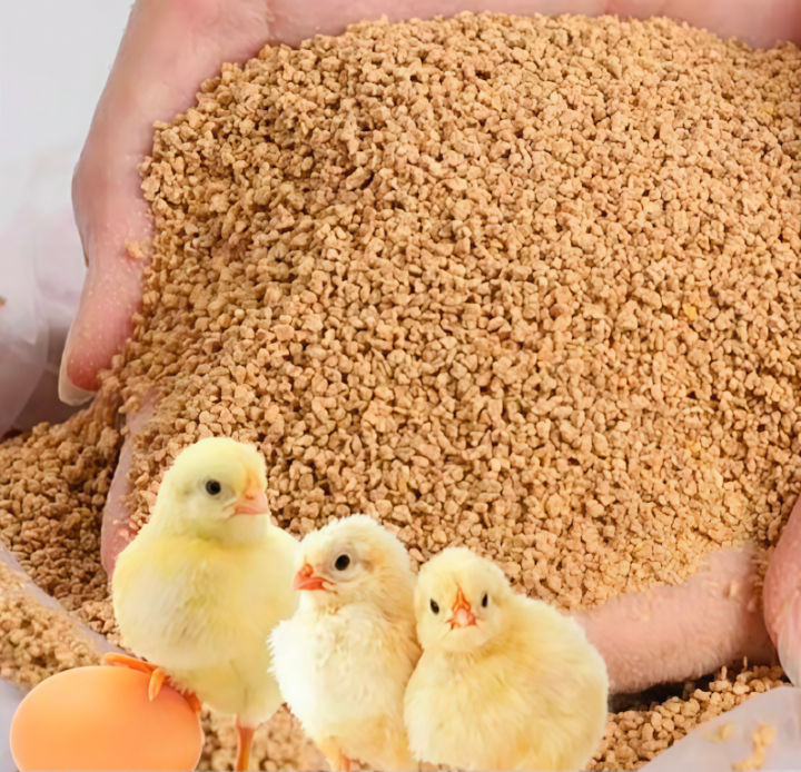 Chick Booster Chick Feed High Quality For Chicks Kukul Kema | Daraz.lk