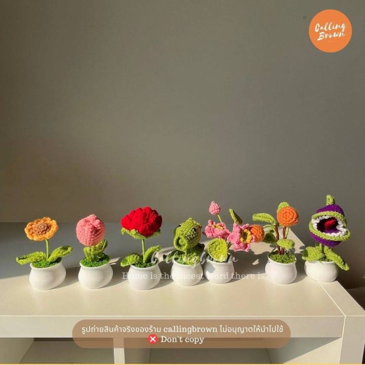 Callingbrown [🪴Ready to ship🪴[Mt] handmade crochet flower plant pot Valentine's Day birthday ...