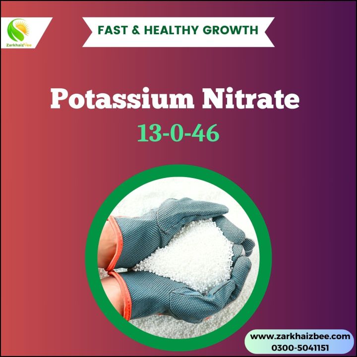 Potassium Nitrate 1 KG | Fertilizer for plants | NPK Fertilizer | 250 ...